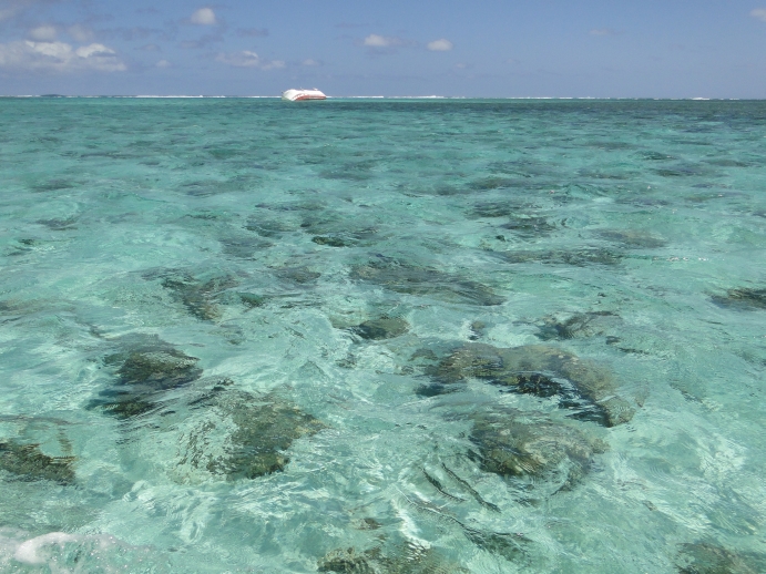 Conway Reef, Fiji