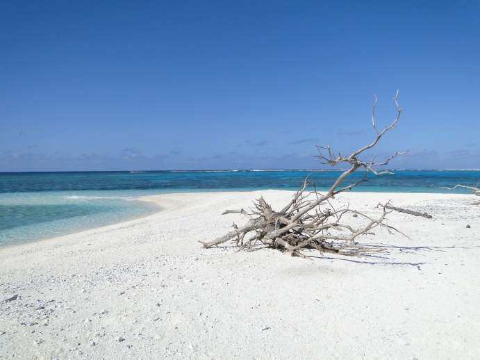 Conway Reef, Fiji