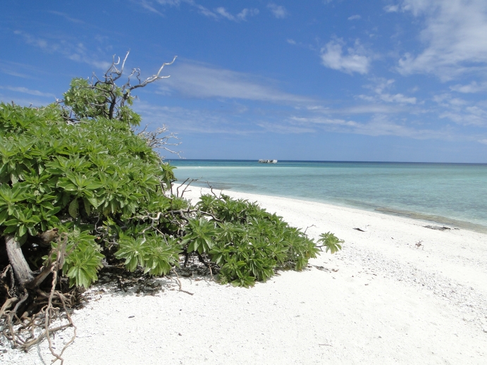 Conway Reef, Fiji