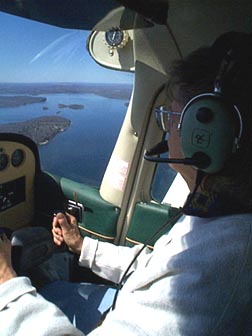 Picture of The Week Archive