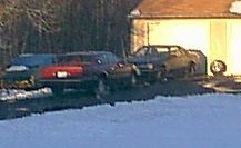 Ryan's Old '88 T-Bird
