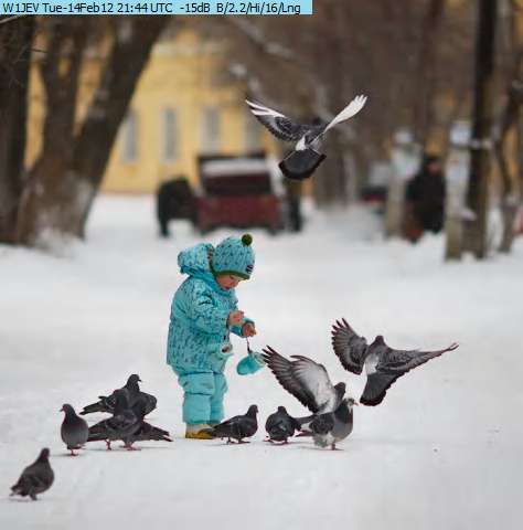 EasyPal (DRM) HD SSTV Photos