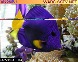 SSTV VK2ADF Wagga Wagga New South Wales Australia - 60 SECS REFRESH (or ...
