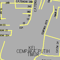 Peta daerah Cempaka Putih dan sekitarnya