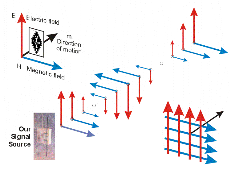 NZART Basic Training Demonstrations